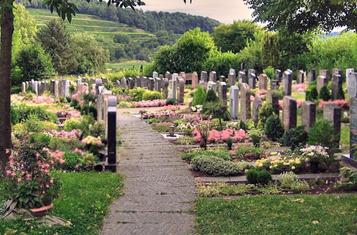 Sépultures végétalisées Bruxelles - Eternam